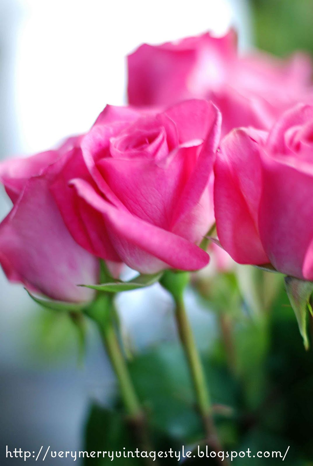 Very Merry Vintage Syle: Pretty in Pink {Roses}