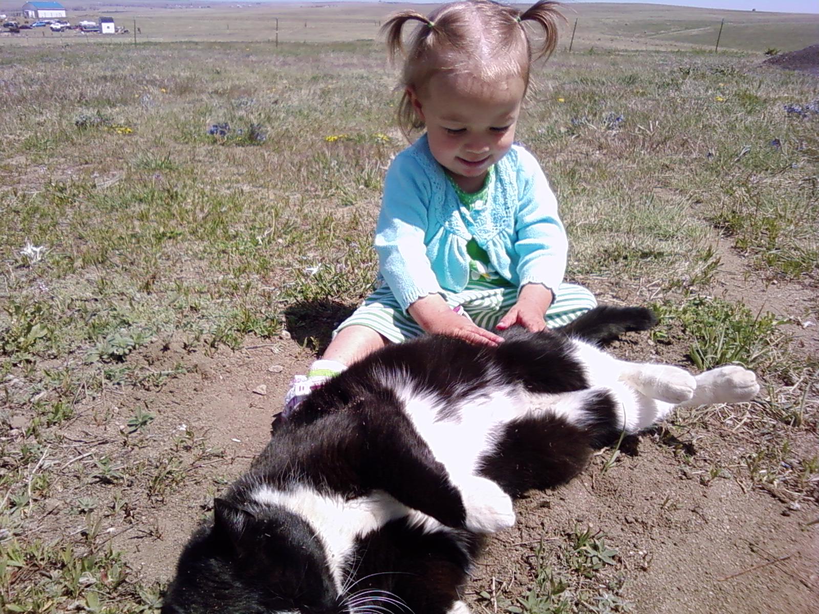 It's A Windy View: The Greatest Farm Cat