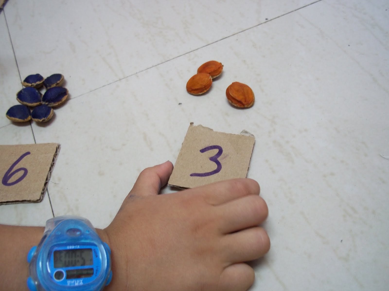 Homemade Arithmetic Manipulatives for Homeschooling | Penniless Parenting