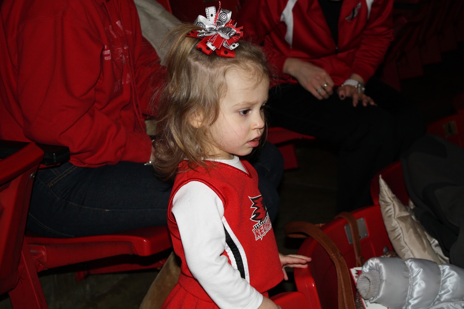 Keeping Up With The Bandermann's: Rowdy the Redhawk's Birthday