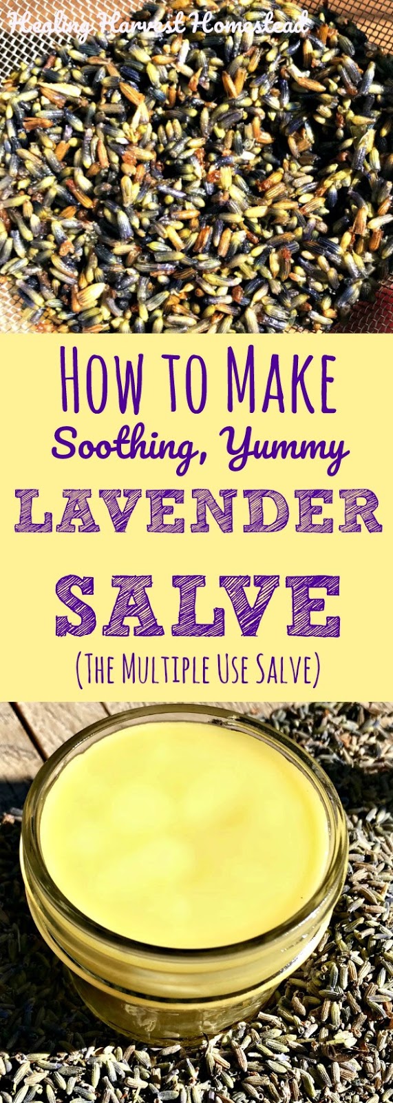 15 Amazing Homemade Salve Recipes - Everything Pretty