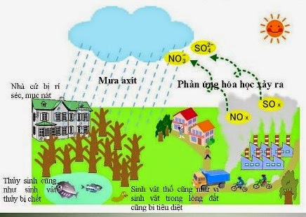 Mưa axit | Môi trường