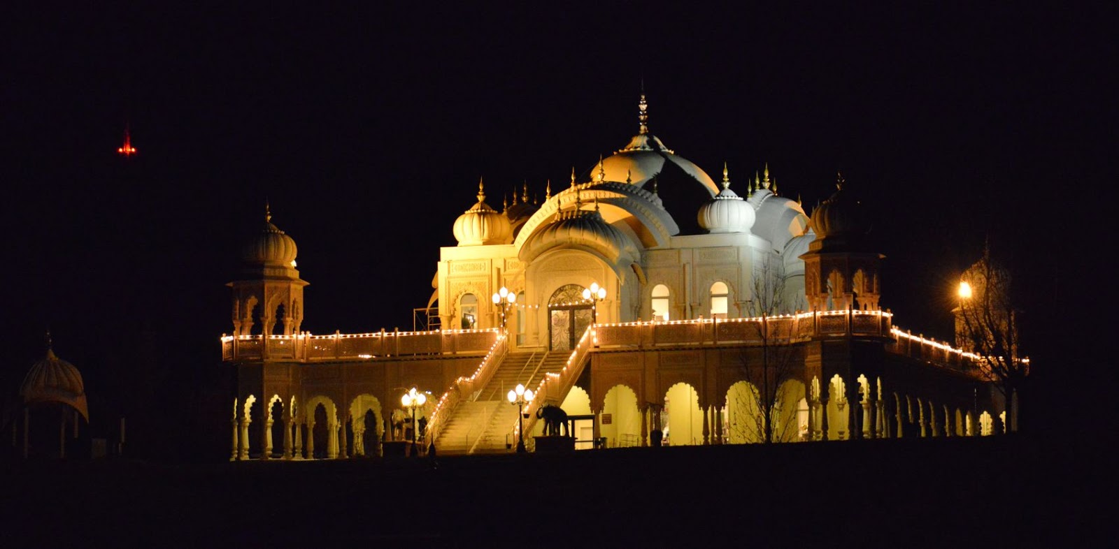 A school of fish: November 2012