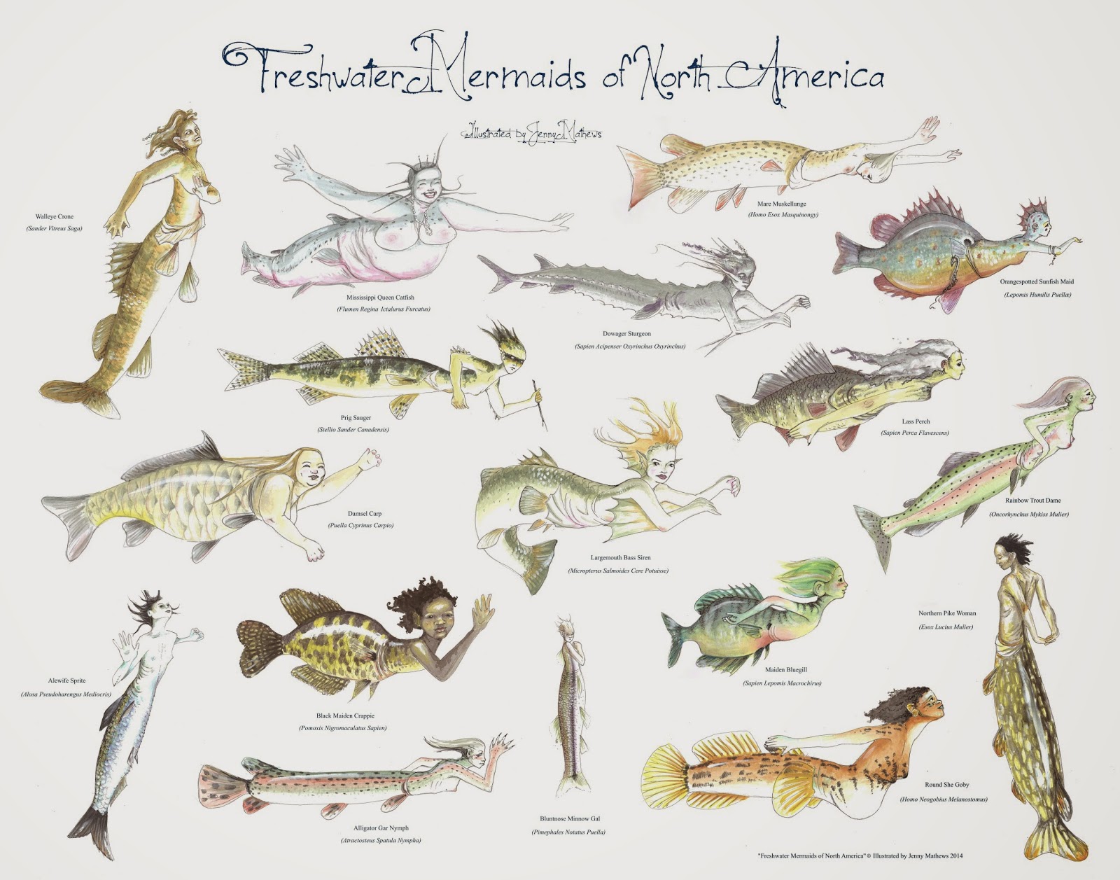 Mermaids of North America: Mermaids of North America