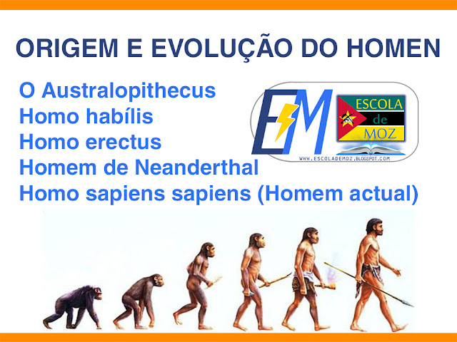 Origem Do E EvoluÇÃo Do Homem