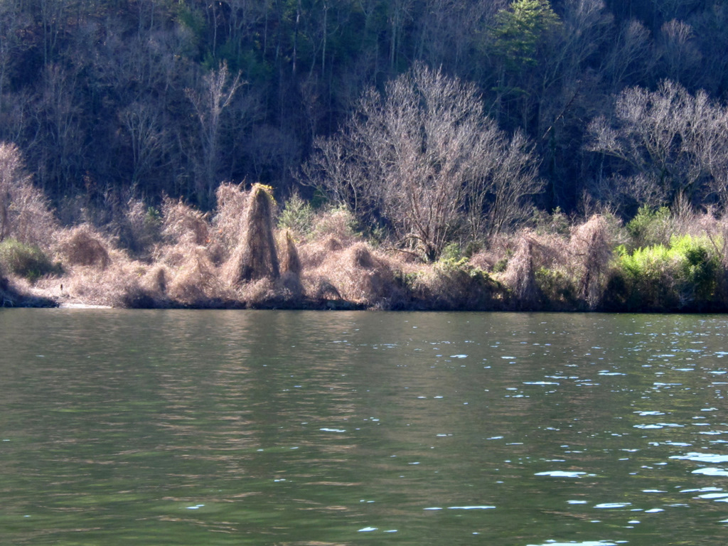 Gary's Outdoor Wanderings2: SCONA LODGE - A Lost Treasure