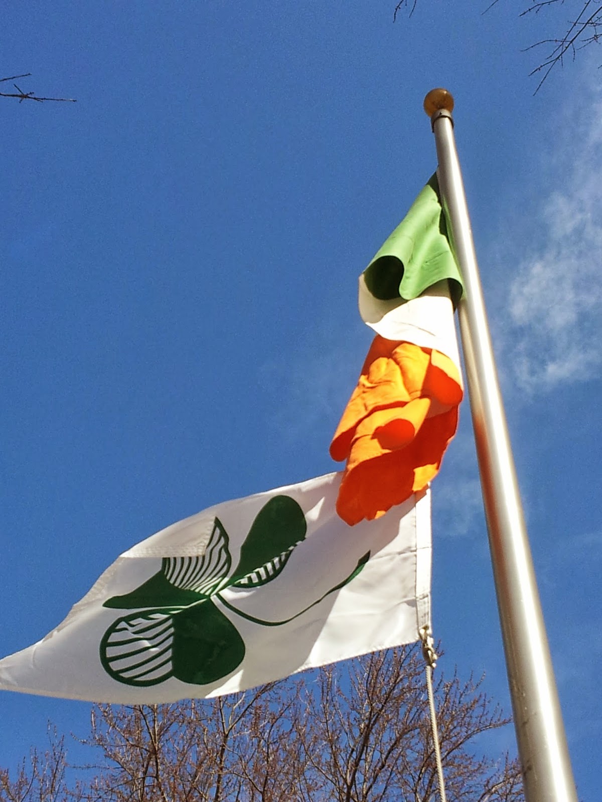 St. Patrick's Flag Story - FlagRunners