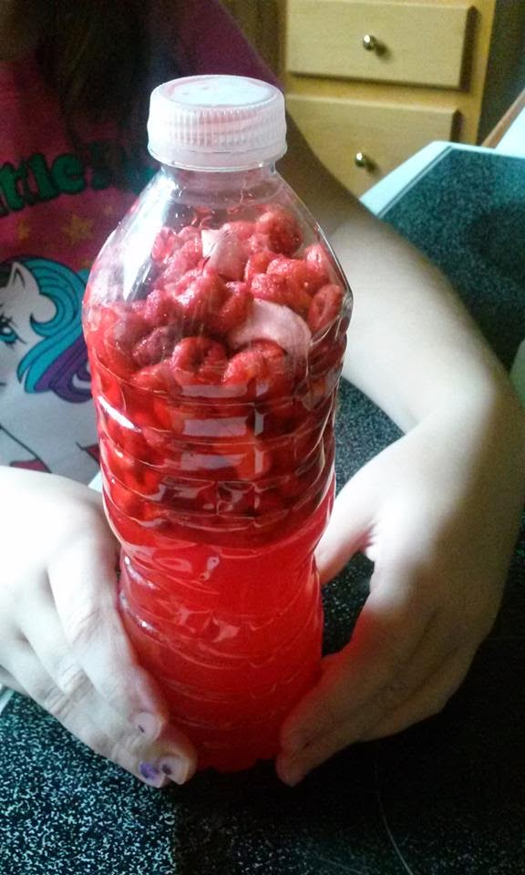 Handy Homeschool Lessons: Human Body: Circulatory System