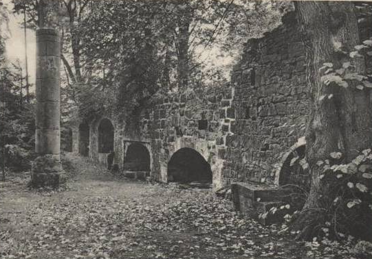 Ivo de Lessinis: Des centuries aux prophéties