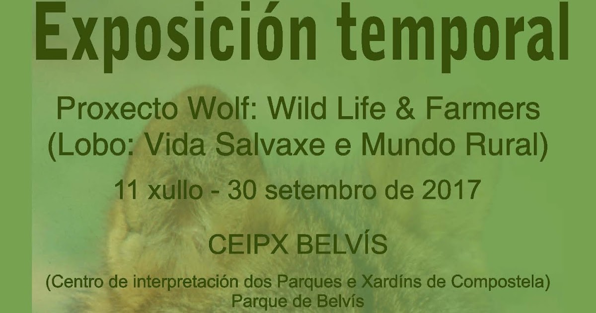 AMIGO LOBO: Blog lobero de Carlos Sanz: La Exposición Proyecto Wolf en Santiago de Compostela ...