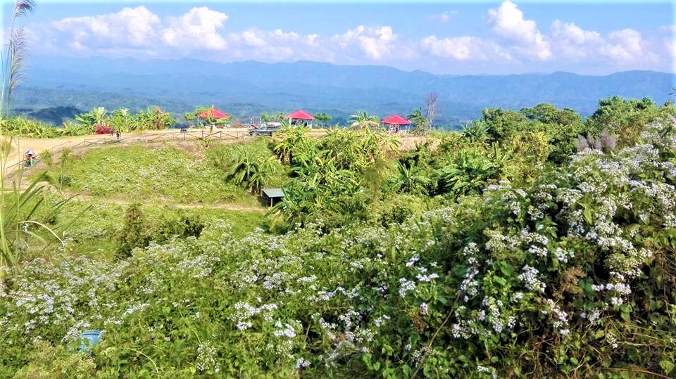 Beautiful Sajek Valley - History and Travel-world heritage BD