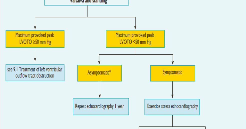 Prosedur Ablasi Septal pada HOCM (HOCM SEPTAL ABLATION) - Panduan ...