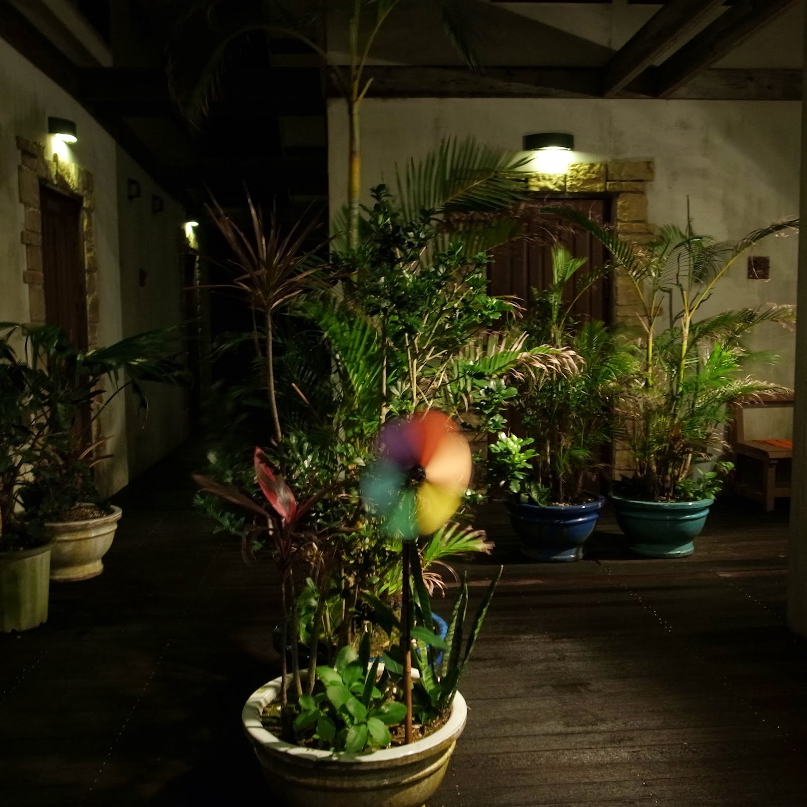 蓼くい: 石垣島 ココテラス(coco terrace)