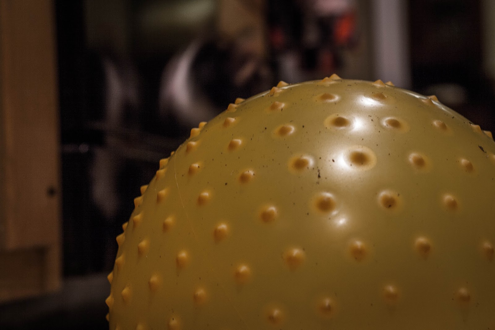 Kim and Gemma's Photo Project: What is that?