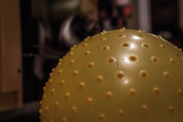 Kim and Gemma's Photo Project: What is that?