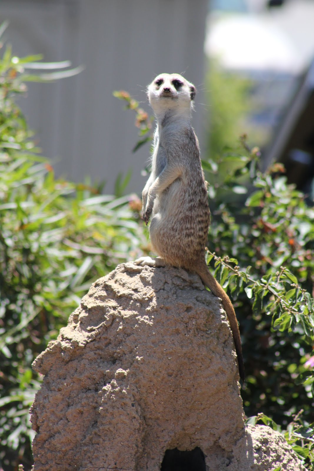 Biking the Pacific Coast