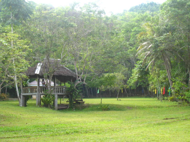 Bohol: Sikatuna Tree Park, Bohol