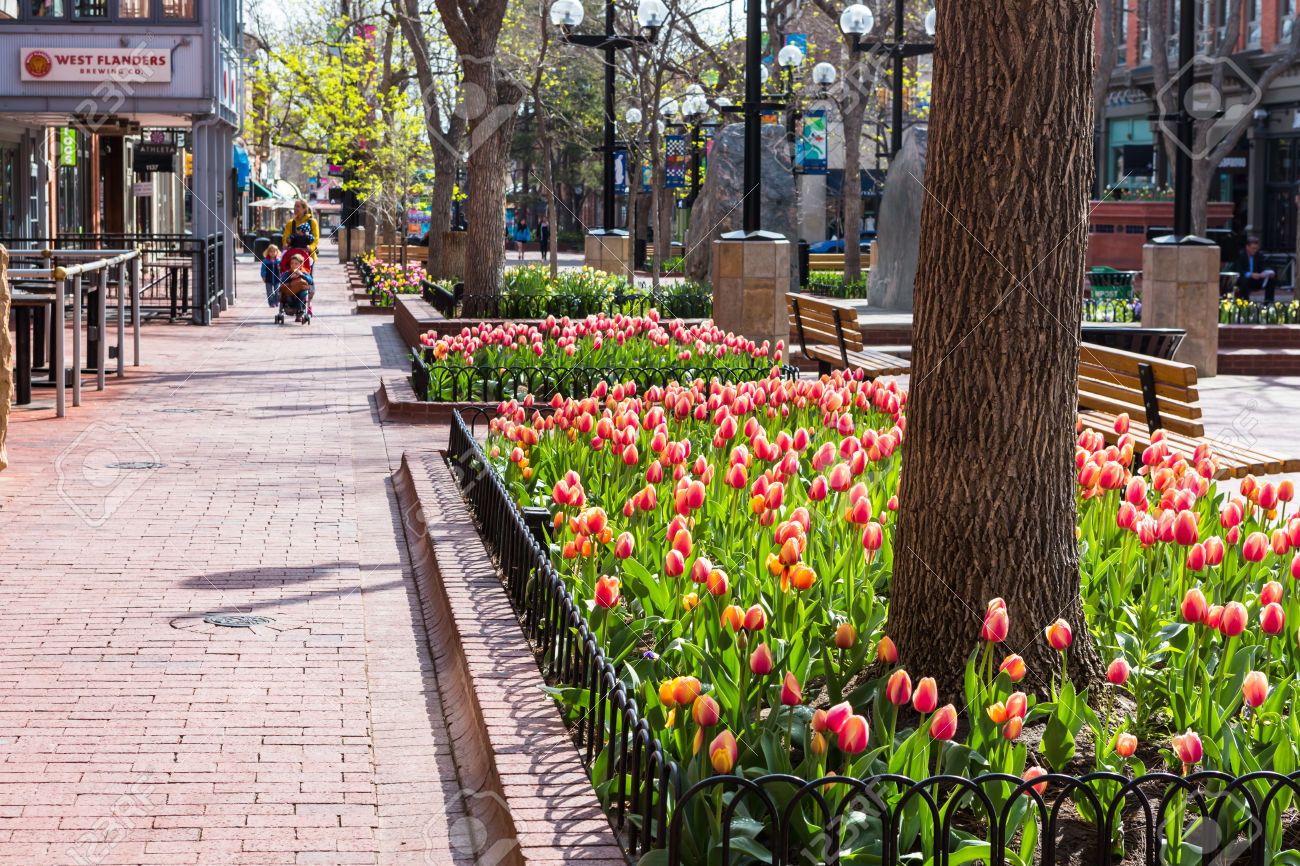 Critter Sitter's Blog: Photos of Early Spring in Colorado