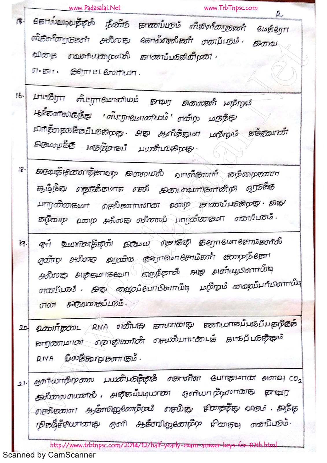12th Bio Botany Half Yearly Exam Answer Key Tamil Medium 12th-bio-botany-half-yearly-exam-answer-key-tamil-medium