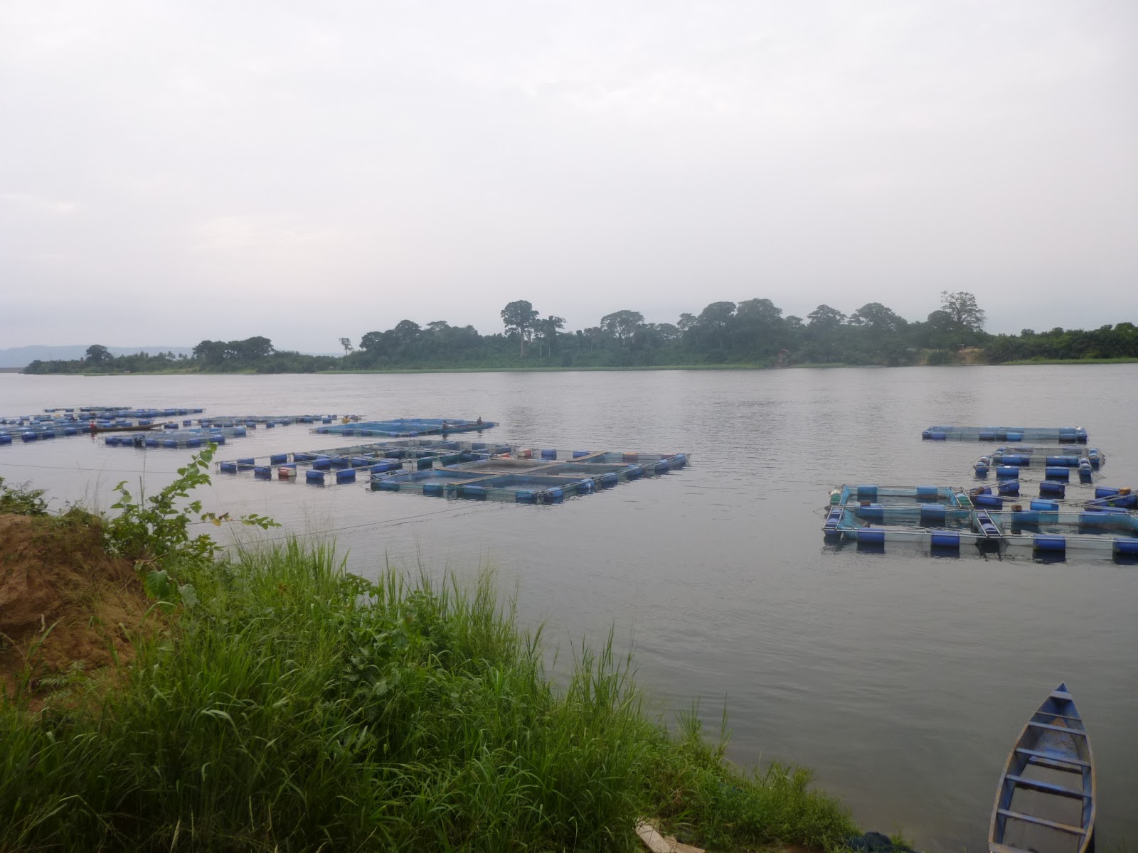 Elder Kade Edler Eppich: "The dang dog jumps up and bites my ankle!"