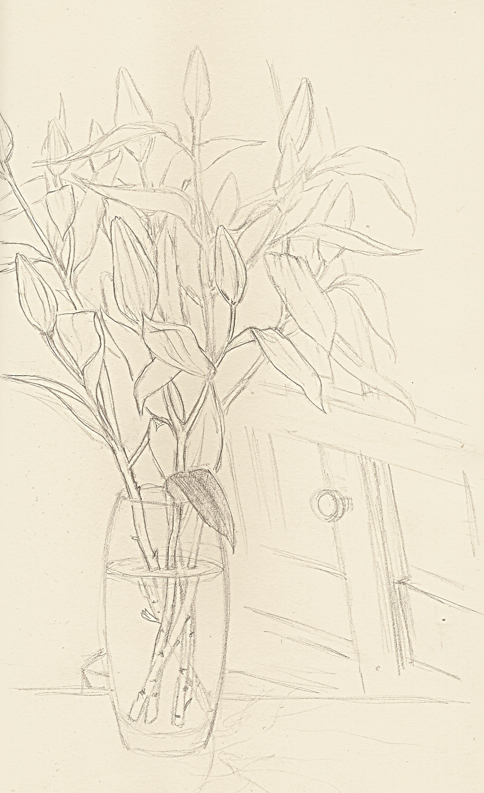 Sarah Fogg Illustration: January Challenge - Observational Drawings pt. 1