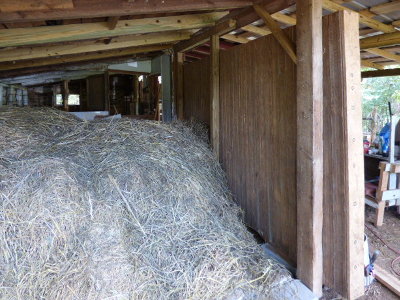 5 Acres & A Dream: Progress on the Little Barn (Formerly the Goat Shed)