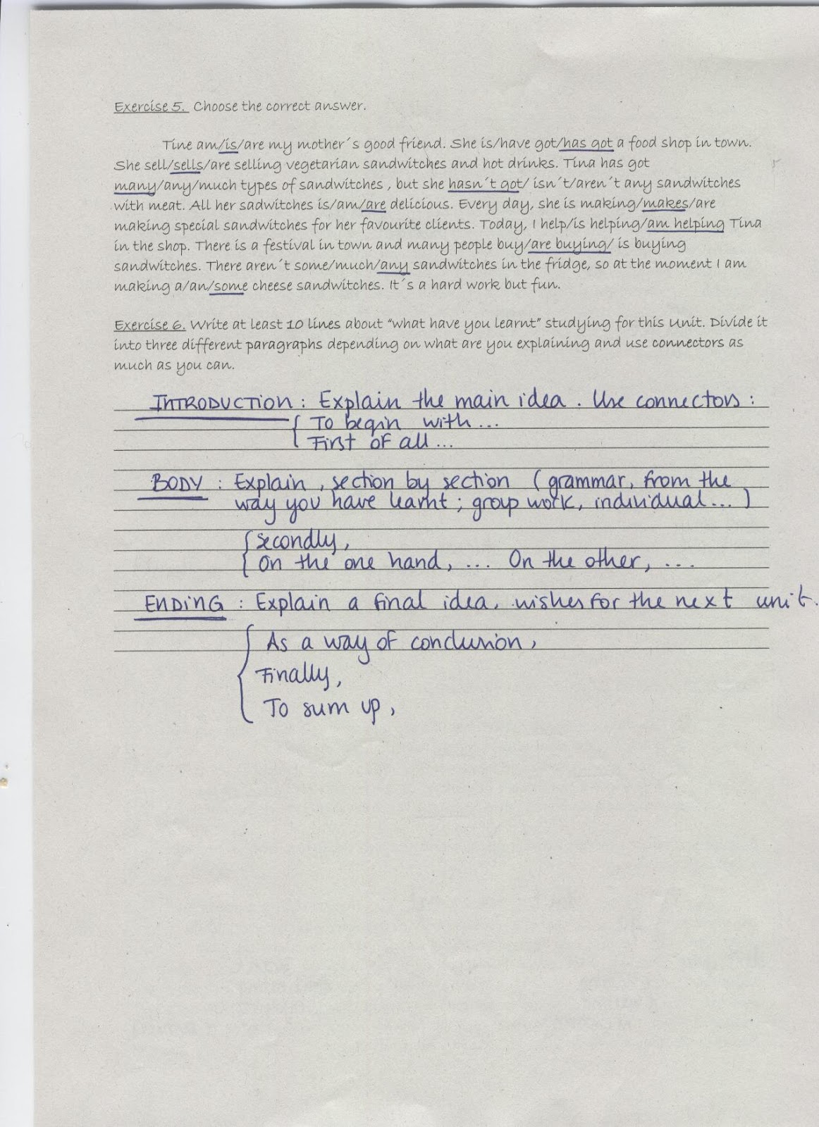 Sara´s English Class Portrait