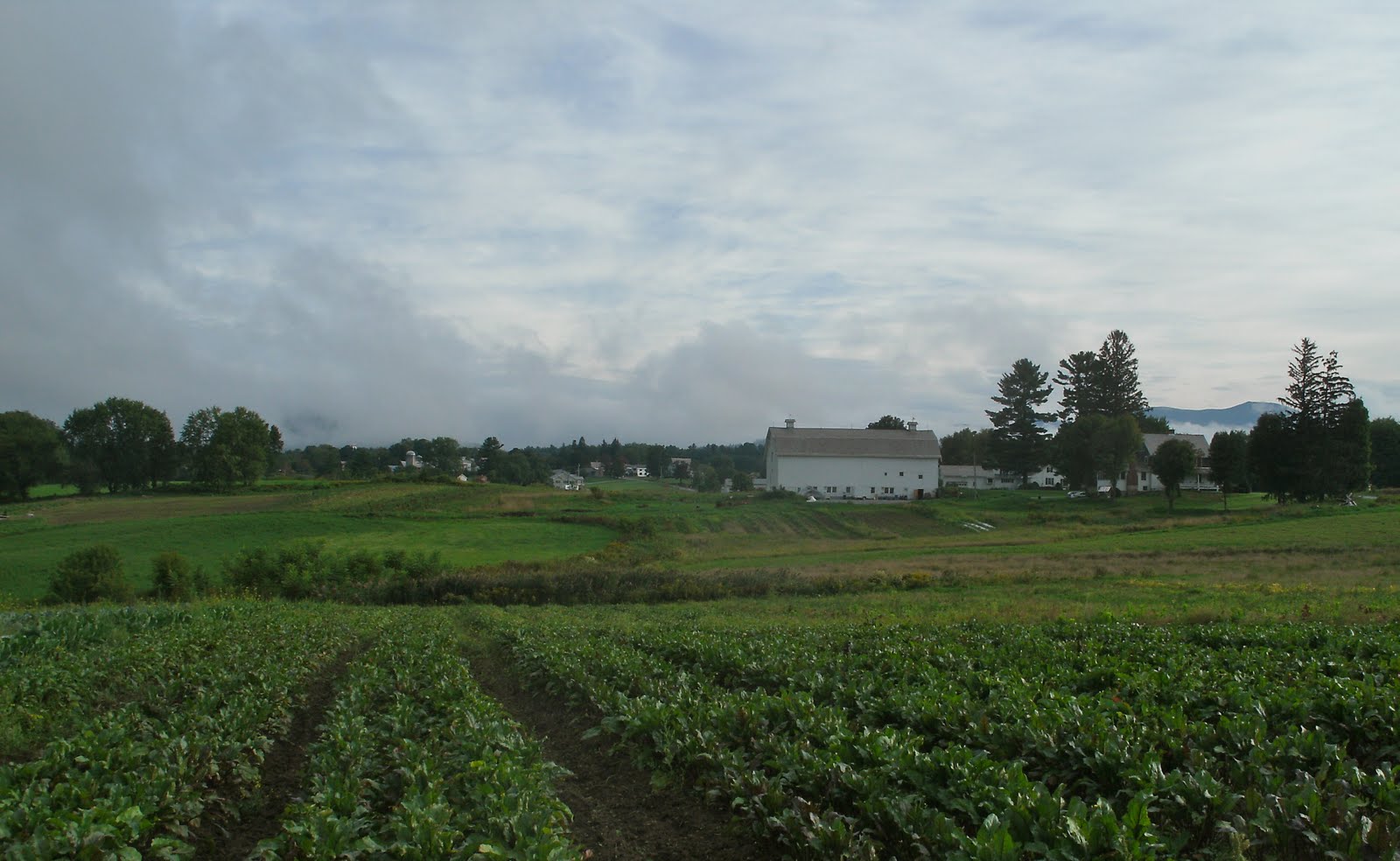 Groundworks Farm | Creating a Farm