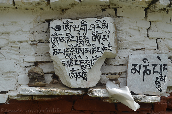 Get Mesmerised By The Monpas - Voyager For Life