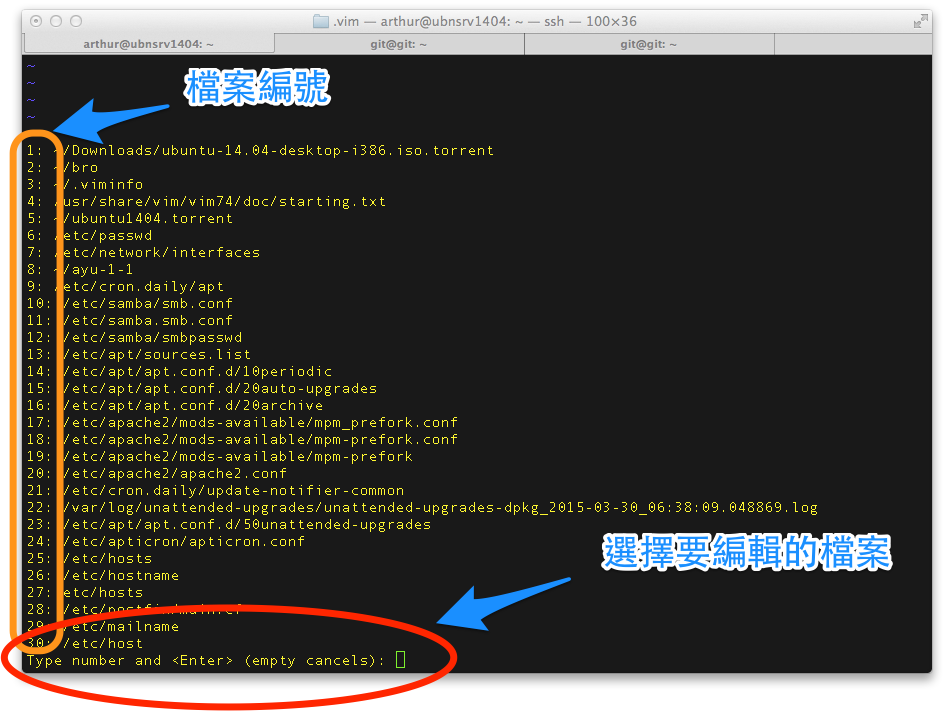 vi 使用「最近開啟的檔案」功能指令