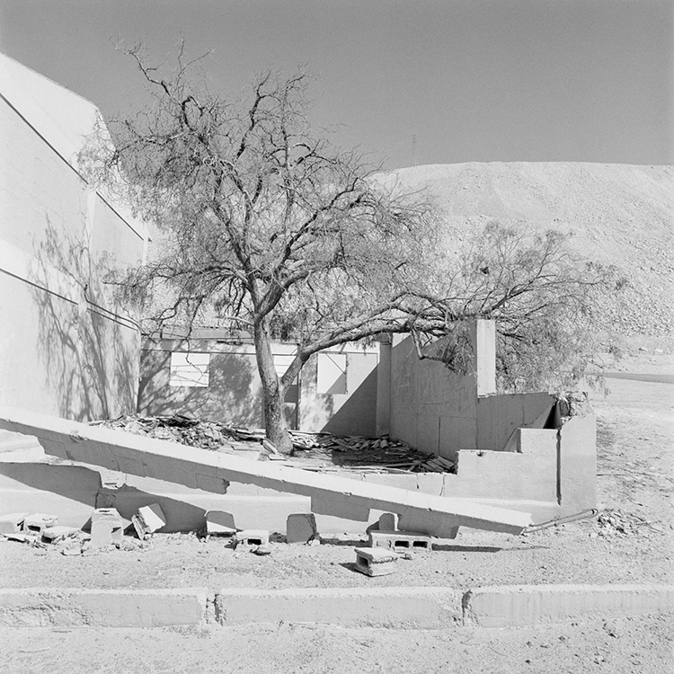 fototazo: LatAm f100: Cristian Ureta and Paccarik Orue