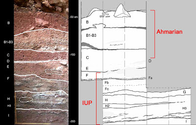 Apa Itu Stratigrafi - Biologizone