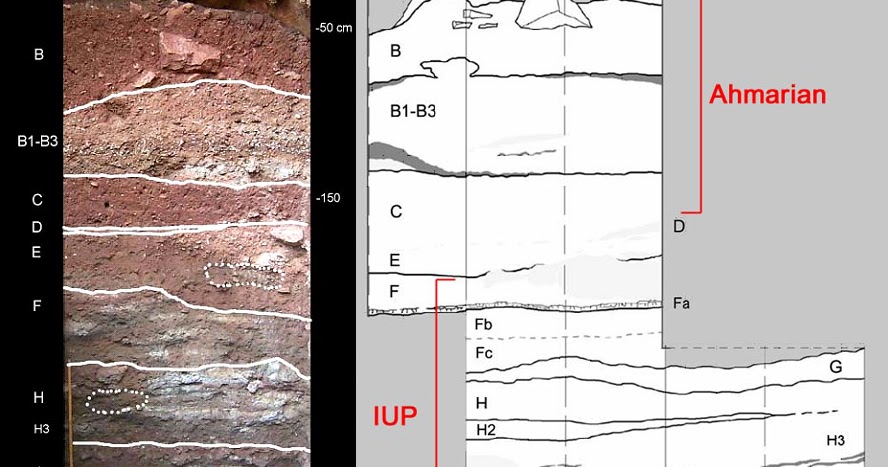 Apa Itu Stratigrafi - Biologizone