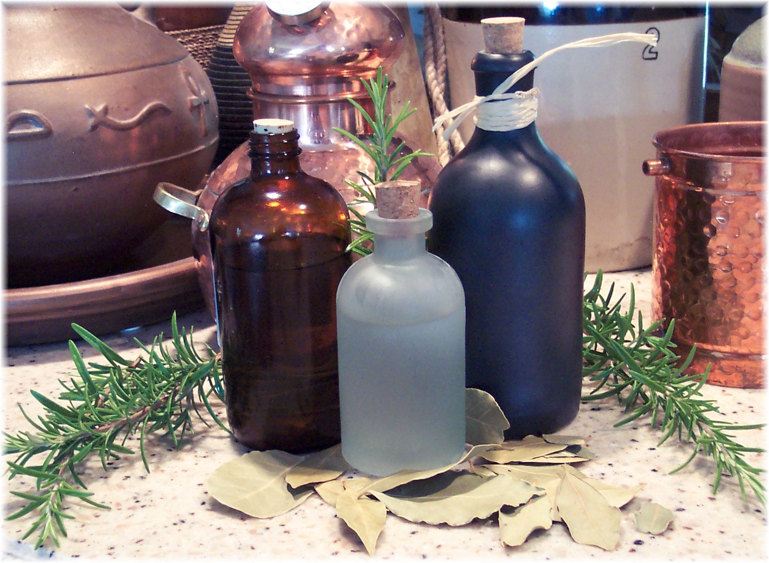 Soapsmith's Blog: Distilling Herbs