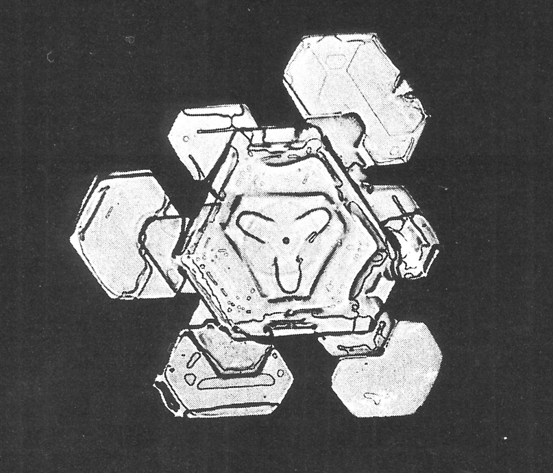 Mutated snowflakes from the Japanese nuclear react: Nuclear fallout ...