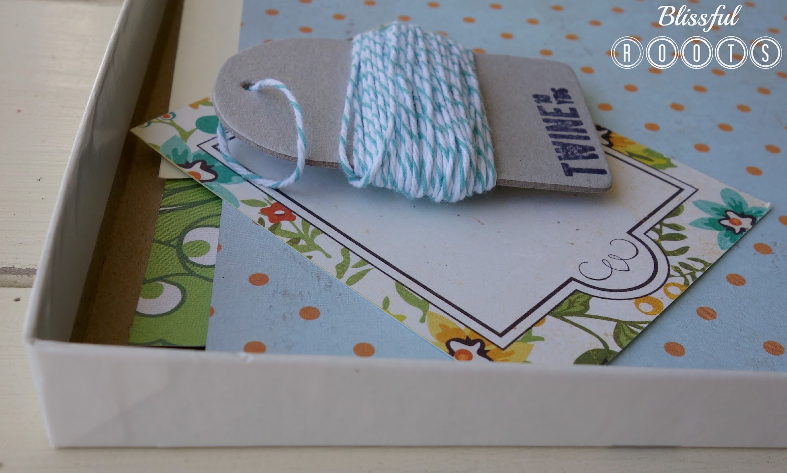 BLISSFUL ROOTS: Current Project Box