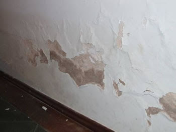 ALFAIA ARQUITETURA: Dicas úteis para acabar com o mofo e do bolor nas ...