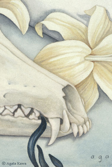 AGATA KAWA blog: Remords posthume/ Posthumous Remorse _Charles Baudelaire