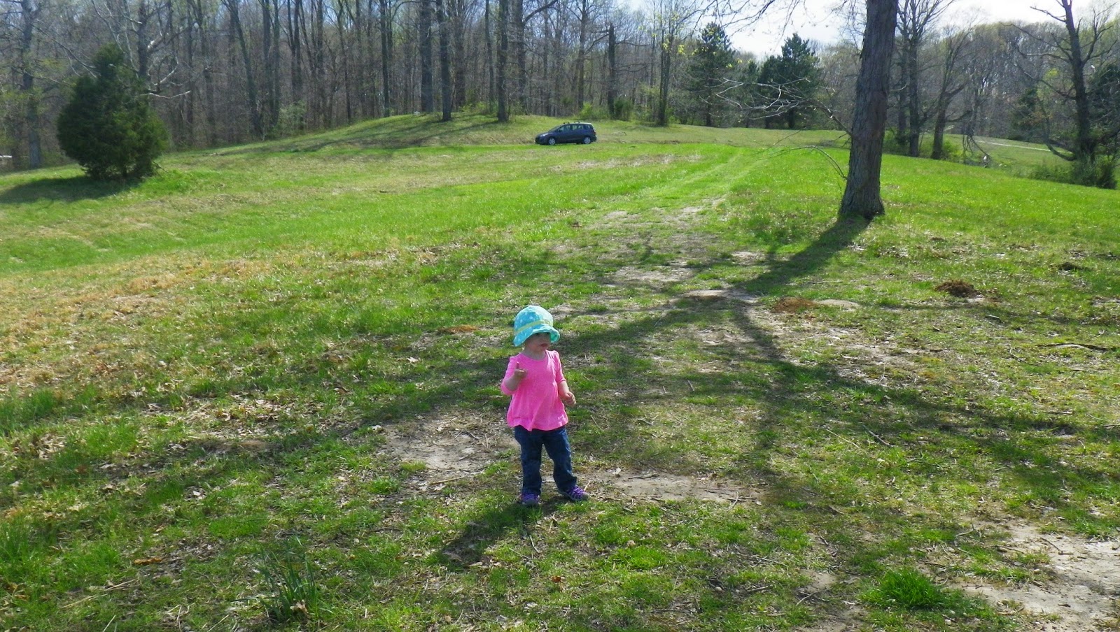 Home Waters: A Fly Fishing Life: Lake Lemon Report: Tops