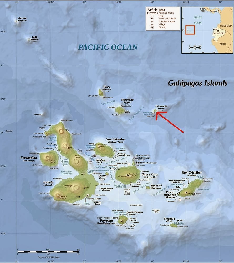 Ian Fraser, talking naturally: Genovesa: Tower of the Galápagos. Part 1.