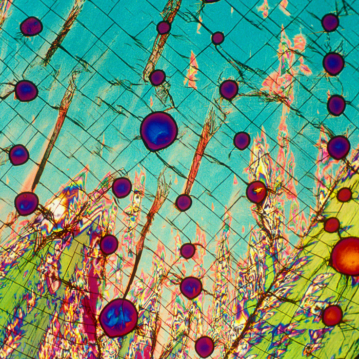 Sorprendentes fotografías del alcohol bajo el microscopio. ~ LeugimBlog
