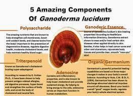 Benefits Of GANODERMA ~ My Vestige World