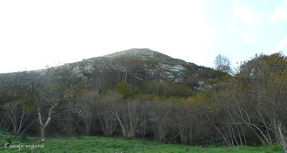 Paisaje vegetal: Paseo de Sevares a Ponga