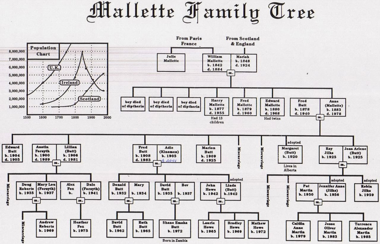 Reflections from Crumbly Acres: Book Review: Advanced Genealogy ...