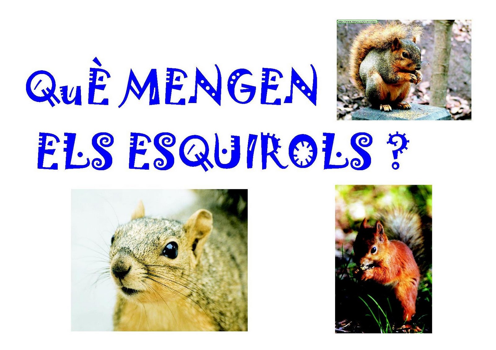 Els Petits Infants: L'ESQUIROL