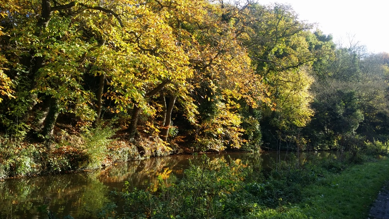 Lucy's Wednesday walks: A tearoom walk! Kinver to Wolverley along the ...