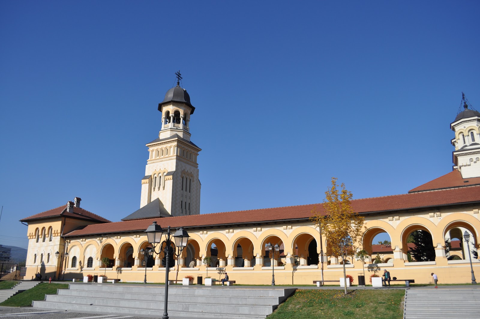 Poze, Natura, Animale, Plante, Romania, Valcea, Ionut Ungureanu
