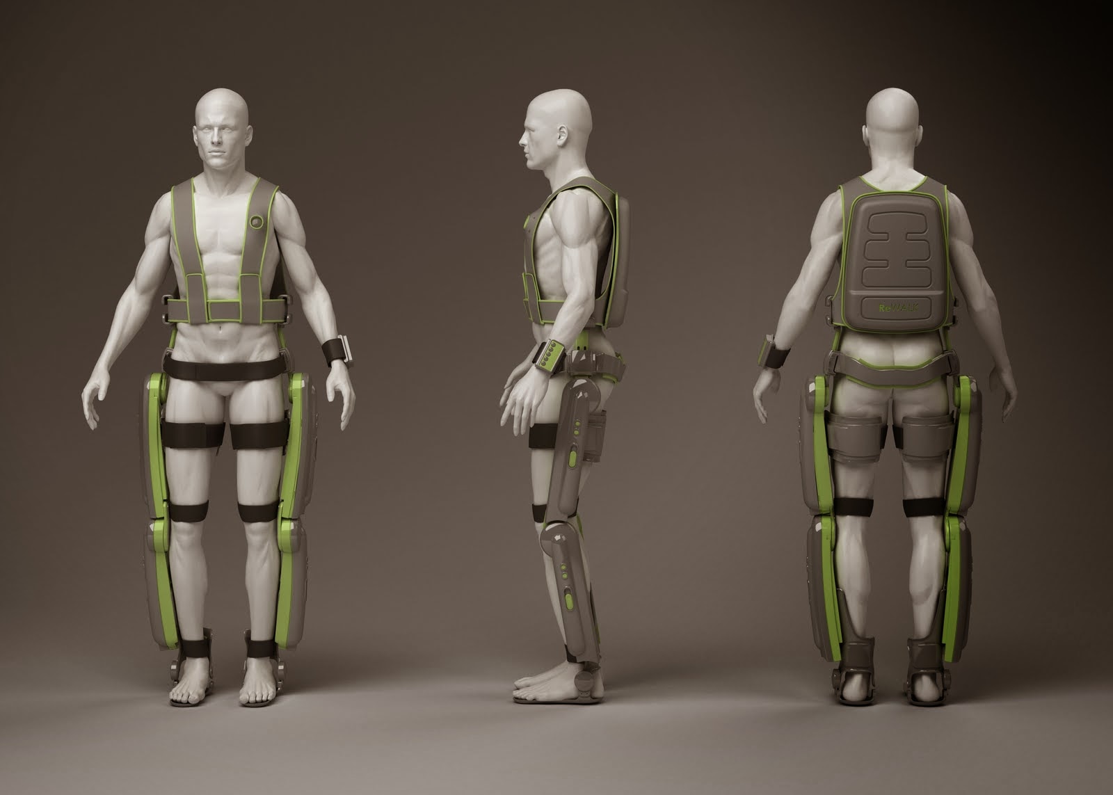 morphogenese - automne 2013: EXOSQUELETTE