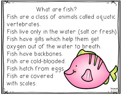 First Grade Wow: Fish Wish and Sandra Markle honor!!