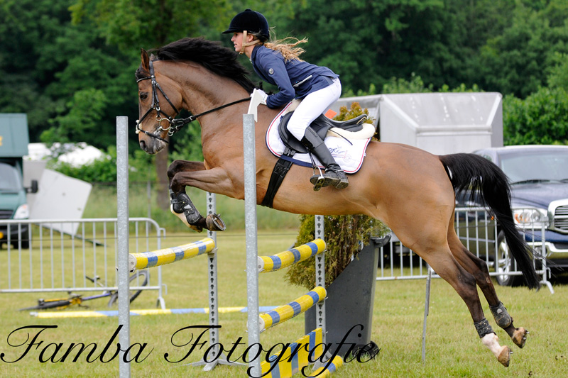 Nieuws: Eerbeekse Paard- & Ponydagen. Onderdeel springen